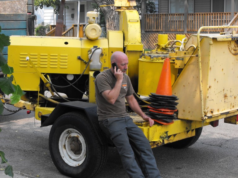 Contact – Just Trees Edmonton